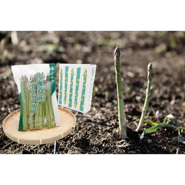 【発売日：2026年05月15日】受付期間：2026年5月19日まで発送期間：2026年5月中旬より順次発送※こちらはお取り寄せ商品になります。　日時指定の場合、希望のお日にちにお届けできない　場合がございます。※冷蔵便でのお届けになります。