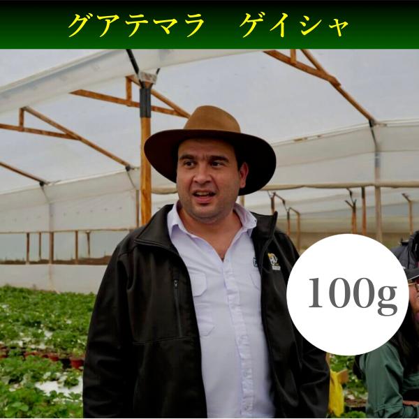 ■味の特徴焙煎度合い：浅煎りフローラル、ピーチ、グレープフルーツ、ハニー、上品な味わい■農園情報国　　　：グァテマラ地　域　：Fraijanes農園名　：Agua Tibia生産者　 : Castillo Family標　高 　: 1,78...