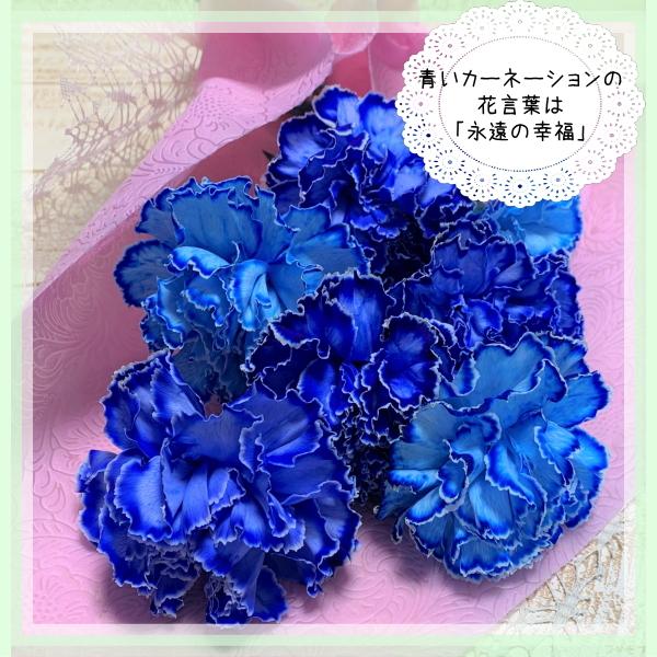 お母さんに「ありがとう」に気持ちを伝える花束、素敵なラッピングで特大のブルーカーネーションをお届けします。■今年の母の日贅沢に贈りたい、そんな方にぴったりです。■青カーネーションの花言葉は「永遠の幸福」■こちらは母の日用にご用意した特別価格...