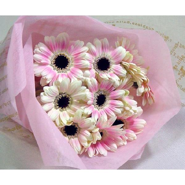 ■かわい〜いです♪とってもキュートな色合いをセレクトします■６月１0日から９月３０日までの夏期は配送時にカビが生じるためお届けは出来ません。■こだわりの品種【セレクトガーベラ】を、その日花市場で一番きれいな品種をお選びしてお届けします本数は...