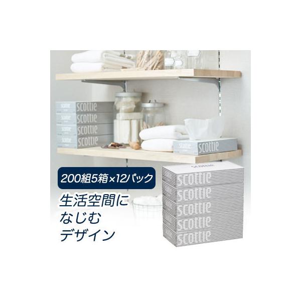 ボックスティッシュペーパー 200組 ティシューペーパー 送料無料！ まとめ買い 激安 日本製紙クレシア 60 箱 ティシュペーパー boxティッシュ ボックス 箱ティッシュ 業務用