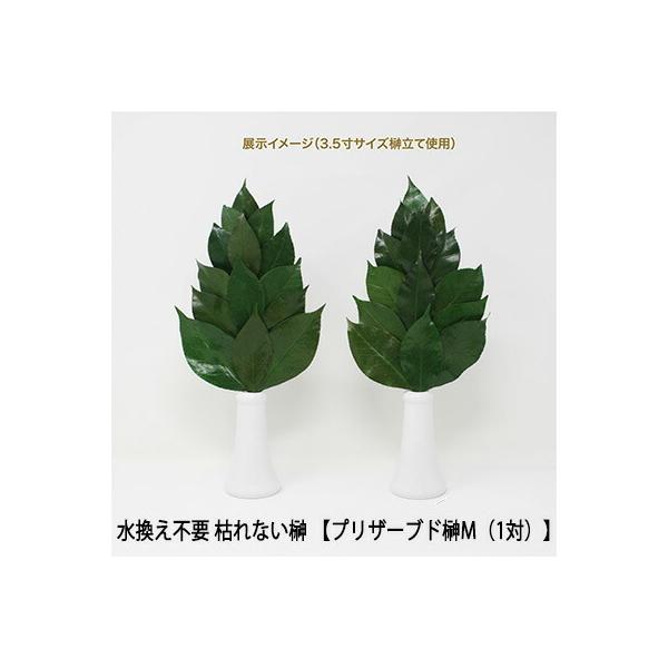 枯れない サカキ 水換え不要 長く飾れる 経済的 国内産 会社  事務所 一対 水やり不要 神棚 神具 彼岸 郵送 プレゼント プリザーブド 店舗
