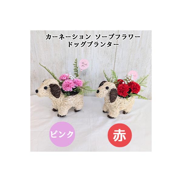 インテリア ディスプレイ 装飾 おしゃれ かわいい 新築祝い 開店祝い お祝い プレゼント 誕生日 お店の内装