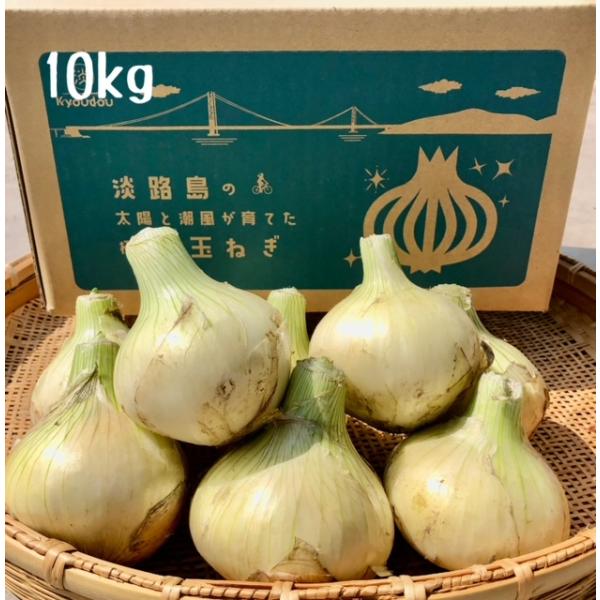 【発売日：2026年03月19日】今の時期しか味わえない極早生玉ねぎです。どうぞこの機会にお試しください。極早生玉葱終了後、早生玉葱に切り替わります。この時期の玉葱は辛みが少なく甘いのでスライスし水にさらさず少し時間をおいて卵の黄身だけのせ...