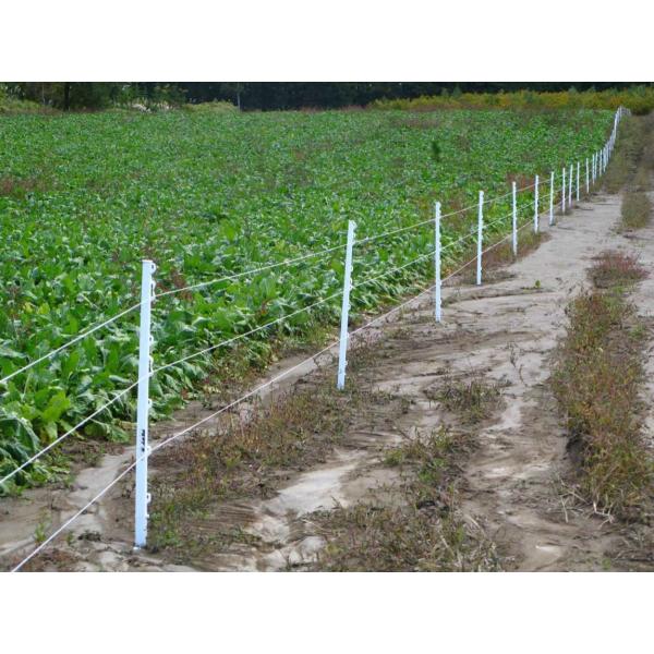 踏み込みステップ式の電気牧柵用ポール白色で見やすく長持ち【特徴】・抗UVプラスチックで紫外線に強く、長く使える・踏み込みステップで設置が簡単・屋外で一番目立つ白色のポール・架線部は取り付けやすく、取り外しにくいデザイン・大きなステップでしっ...