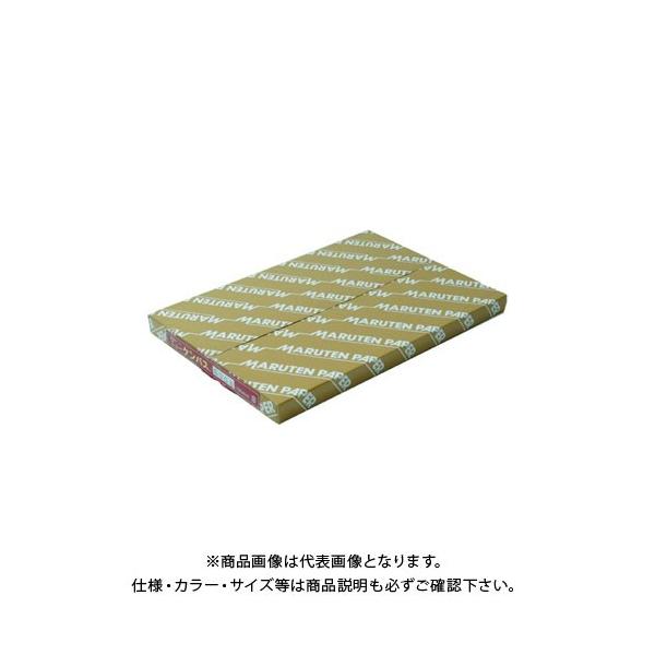 ゴークラ ニューケンパス 薄口 B5 100枚 B305 - 画材