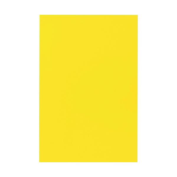 【メーカー】●トラスコ中山（株）【仕様】●色：蛍光イエロー●幅(mm)：200●厚さ(mm)：0.77●長さ(m)：300●長さ(mm)：300【材質・仕上げ】●マグネット●ポリ塩化ビニール(PVC)●アクリルウレタン系樹脂【質量】●140...