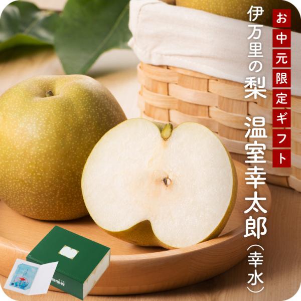 採りたてもぎたて温室幸太郎（幸水）をどこよりも早くお届けします。温室幸太郎は佐賀県伊万里市大川町で栽培された幸水梨です。どこよりも早くお届けする為にハウス栽培で育てたことから"温室幸太郎”と名づけました。「温室幸太郎」は酸味が少なく糖度が高...