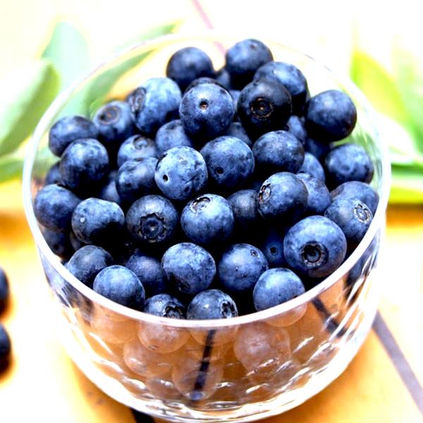 産地より直送致します！そのため、日時指定が出来ません。2週間以内に発送させて頂きます。(出荷時にメールをお送り致します)予めご了承下さいませ。