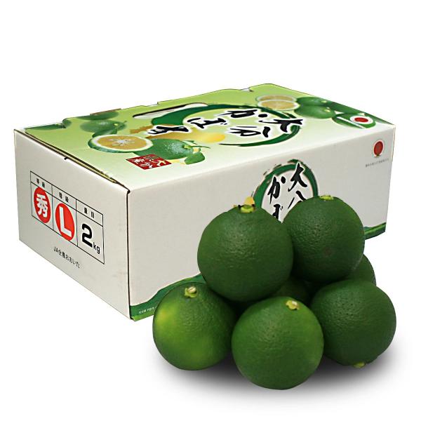 おおいた県産ハウスかぼす 2kg 化粧箱入かぼす1Kg函が可愛い手さげ函に変身(裏面に手さげ函組み立て説明あり)※外装につきましては予告なく変更になることもございます。ご了承くだささい。全国の生産量の実に98%を占める大分のカボス。竹田市は...