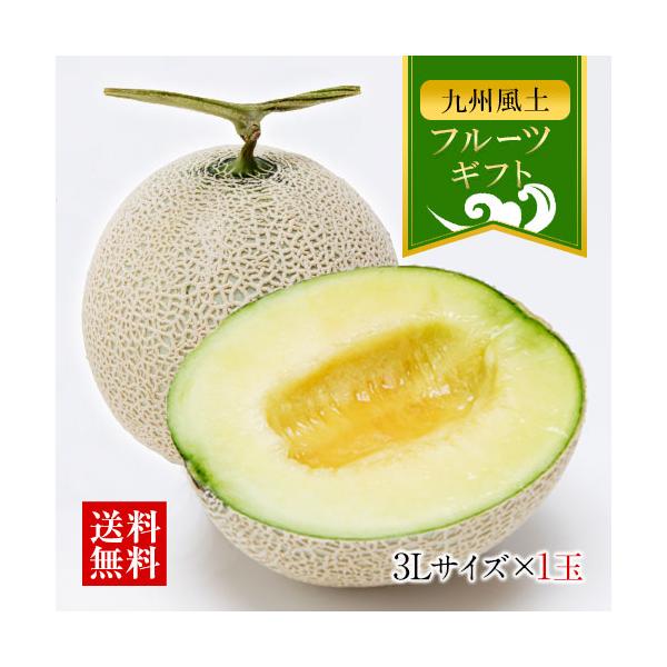 ■名称：メロン■産地：九州産(熊本・宮崎・鹿児島など)■内容：九州産マスクメロン 1玉(3Lサイズ) 1玉約1.5kg以上■賞味期限：生ものですのでなるべくお早めにお召し上がりください。メロンのお尻(底部)を軽く押してみて弾力を感じたら食べ...