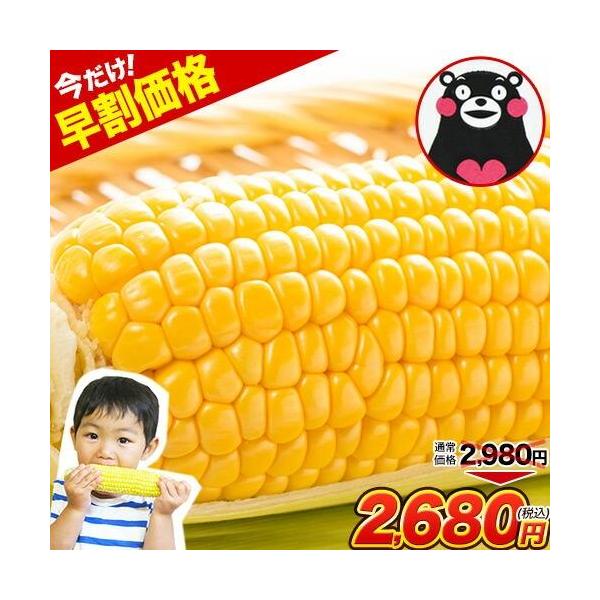 【発売日：2026年04月29日】■名称とうもろこし■原産地九州産■内容ゴールドラッシュ／サニーショコラ／味来／恵味・大振り3L-Lサイズ×5本入■賞味期限鮮度が命のトウモロコシですので、到着後はお早めにお召し上がりください。■保存方法冷蔵...