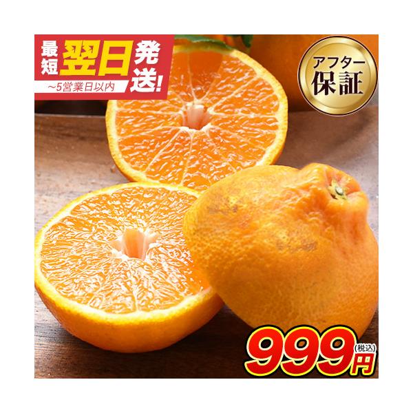 【発売日：2026年03月26日】■名称：柑橘■産地：九州産■内容：九州訳ありデコみかん 1.5kg・サイズ不揃い※玉数は、大きさにより変動します。■賞味期限：生ものですので、お早めにお召し上がりください。■保存方法：冷暗所や冷蔵庫などで保...