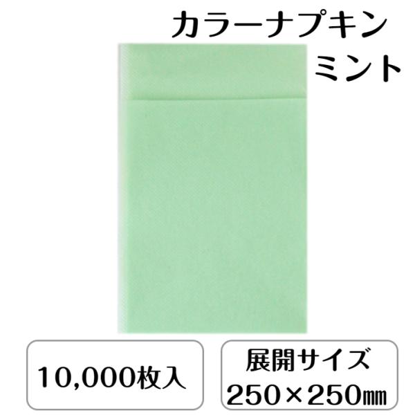 ■商品仕様材質：紙　展開サイズ：250×250　生産：日本製　ケース寸法：４５×３０×４６cmケース重量：約10kg■商品説明食品安全マネジメントシステムFSSC22000取得工場にて生産大容量で便利な使い捨てペーパーナプキン。　飲食店や喫...