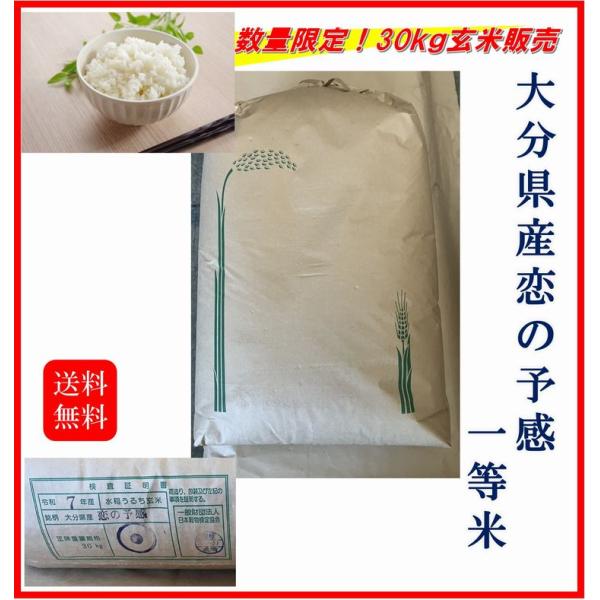 ★「玄米」での販売となります。※精米は承っておりません。★「上フタ無し」の段ボールに入れて発送致します。原材料名：米(単一原料米)、内容量：30kg、年産：令和７年産