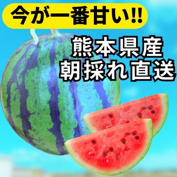 厳選したお野菜、フルーツをを九州福岡県から、採れたてで1番最高の状態で発送いたします。無農薬野菜や、極力農薬を控えた減農薬野菜を中心に扱います。ベジタブル&amp;フルーツアドバイザーの資格を持つあたしたちが、暖かい九州の気候の中で、　お野...