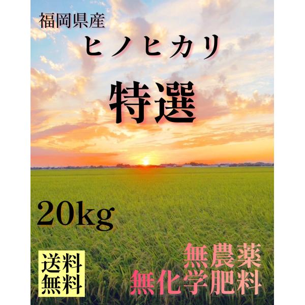 【発売日：2026年03月18日】＝令和７年度　新米販売について＝一番美味しいタイミングでの刈取りをしています。(収穫量が少なくなる為、同じ農家さんでしているところはあまりありません。)精米前の玄米は白米に比べ食物繊維・脂質・ビタミンB群が...