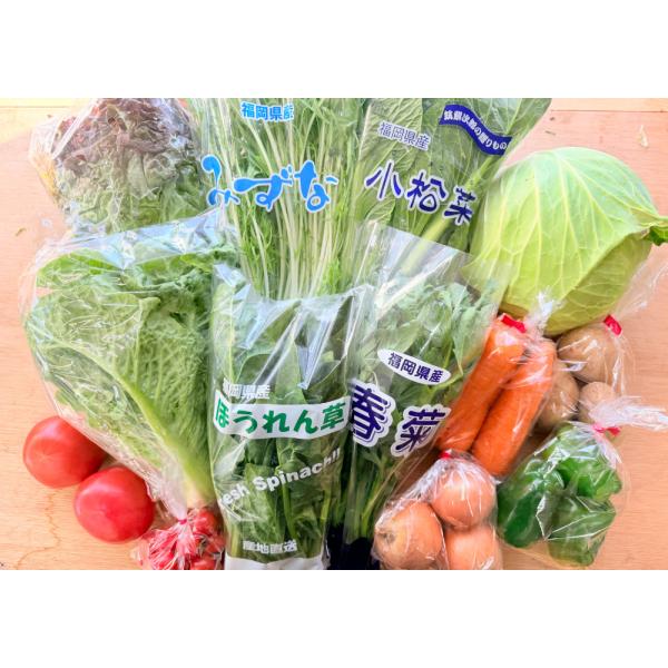 野菜ソムリエの九州の美味しい野菜セット当農園では無農薬野菜や、極力農薬を控えた減農薬野菜を中心に扱います。できるだけ環境負荷を抑えて、人にも環境にもやさしい農法で一つ一つ愛情込めて育てています。※内容は写真と異なる場合がありますのでご了承く...