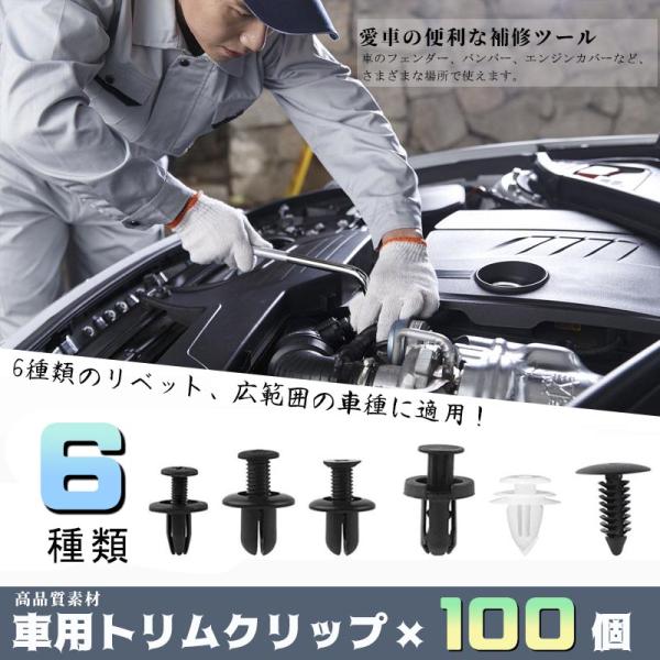 ■6種類のリベット、広範囲の車種に適用！■押し込み式クリップで、取り付け簡単■プラスチックナイロン素材で、耐久性が優れ【商品内容】：トリムクリップ*100個【種類】：6種類【重量】：(約)90g/100個【材質】：プラスチック、ナイロン○使...