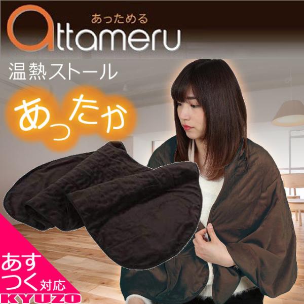 ●コード長さ：約3m(コントローラー部含む)●定格電圧：AC100V 50/60Hz●消費電力：60W●設定温度：モード1約29℃/2約33℃/3約37℃/4約41℃●安全装置：自動電源オフ機能(60Hz使用時120分、50Hz使用時144...