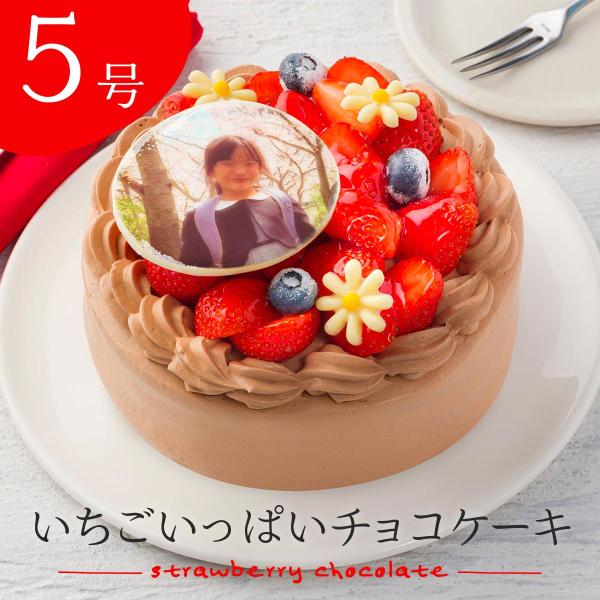 誕生日やお祝いには写真ケーキ●商品情報・商品名：いちごいっぱいチョコケーキ・5号-直径15cm※ロウソク5本入1袋別添●原材料原材料：いちご, ブルーベリー,ラズベリー, 生クリー ム,チョコレート, 砂糖, 卵, 小麦粉, はちみつ,マー...