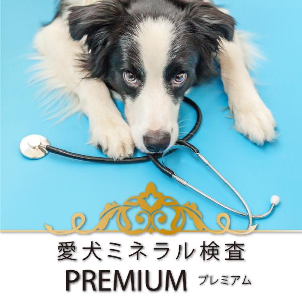 大切な家族のために、愛犬ミネラル検査を受けませんか。人の毛髪やワンちゃんの被毛は、変質も起こりにくく、ミネラルや有害金属を取り込みながら伸長するため長期的な情報を得ることが出来ます。 体内にたまった重金属とミネラルバランスを数値化し、ワンち...