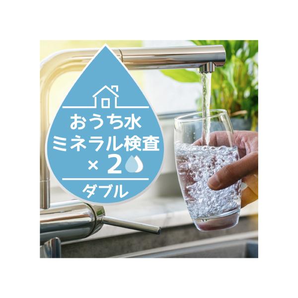 【発売日：2021年06月28日】検査キット内訳：質問票・採水容器4本・ジッパー袋・返信用封筒採水した容器をジッパー袋に入れて記入した質問票と一緒に返信用封筒にいれてポストに投函するだけ。ポストに投函いただいてから約3週間で検査結果をお届け...