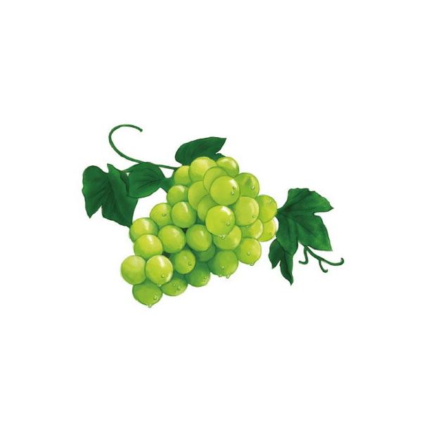 ランプベルジェ対応　シャルティエアロマオイル　マスカット 100ml 【お試しサイズ】◇香り：甘く爽やかなフルーティーな香りで気持ちを和ませてくれます。玄関やリビング、来客時などにもおすすめです。◇容量：100ml◇用途：トイレ/寝室/キッ...