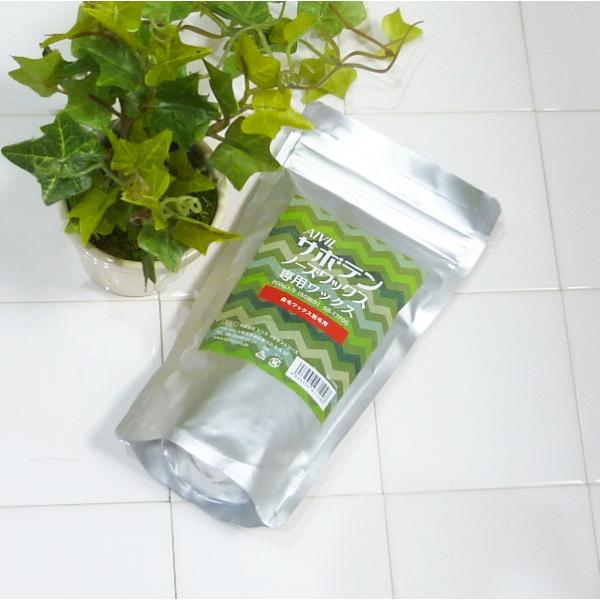 【サボテンノーズワックス、サボテンノーズワックス専用ワックス、サボテンノーズワックス、SB17F05、アイビルサボテンノーズワックス、AIVILサボテンノーズワックス】