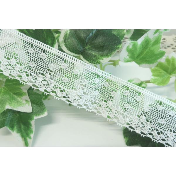 当店の人気商品です☆ヨーロッパ調の柄で、アパレル様にも人気のレースです。店頭ではなかなか見かけないデザインです。 【素材】綿１００％ 【色】オフホワイト 【巾】　26ｍｍ【厚み】薄い●こちらの商品は、１ｍ単位での販売となります。 ご希望のメ...
