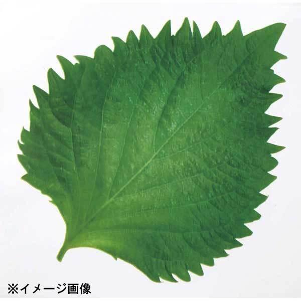 ●型番:ミリオンフィルムシート 大葉型●サイズ(mm):横:85縦:85●重量:0.4g●材質:OPP●バラン印刷されたフィルムシート●食材同士の付着をなくします。