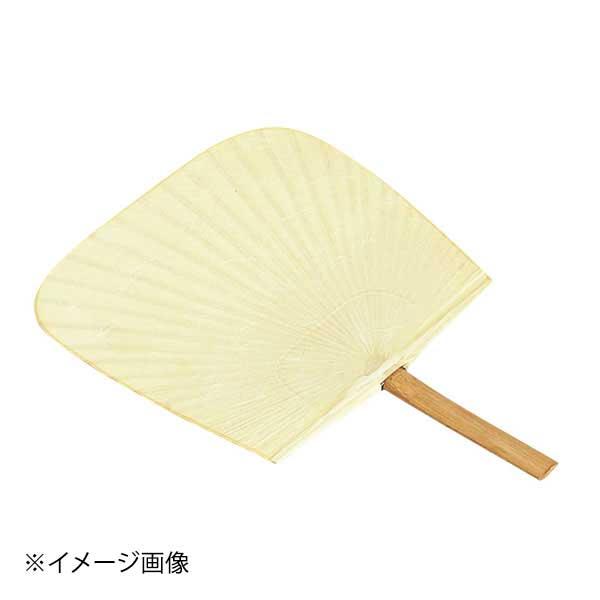 ●サイズ(mm)：265×385