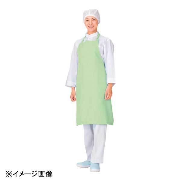 ●メーカー品番：E3500-2T●カラー：ソフトグリーン●幅(mm)×前丈(mm)：690×830●質量(g)：94●材質：ポリエステル100%ツイル(綾織物)●Agの働きにより、繊維上に付着した特定のウイルスを2時間で99.9%不活性化し...