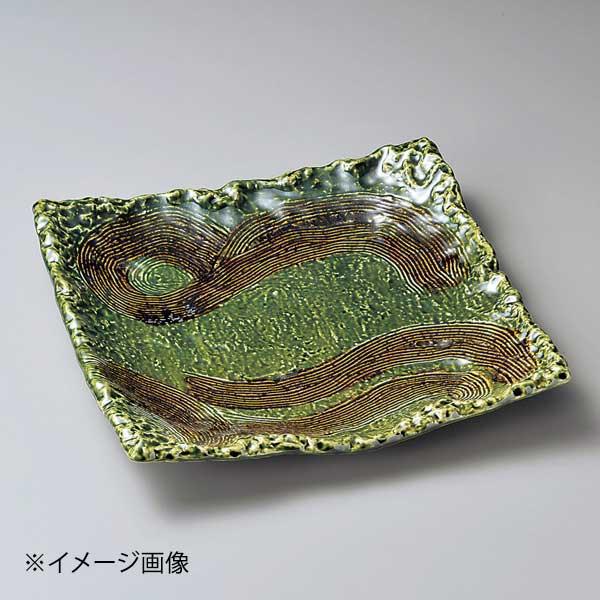 ●サイズ・容量:31×31×5.3cm●重量:1500g●カタログコード:17320-Y0