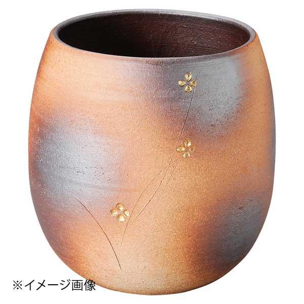 ●サイズ・容量:16×18cm●重量:1425g●カタログコード:32405-660