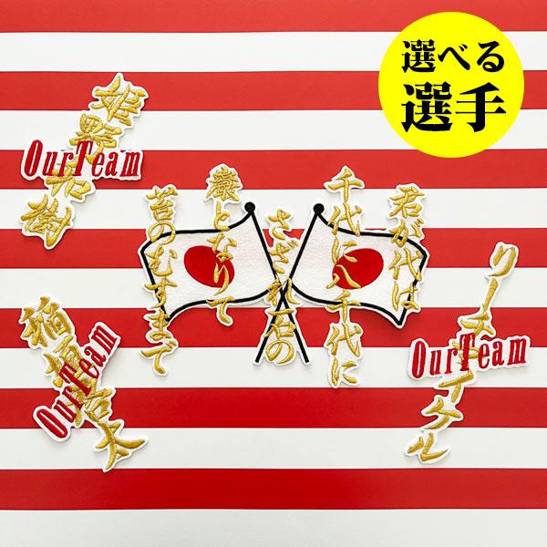 ご購入前に必ず「お買い物ガイド」のご確認をお願い致します。稲垣啓太/クレイグミラー/シオネハラシリ/具智元/垣永真之介/ヴァルアサエリ愛/堀江翔太/坂手淳史/堀越康介/サウマキアマナキ/ワーナーディアンズ/ヘルウヴェ/ジャックコーネルセン/...