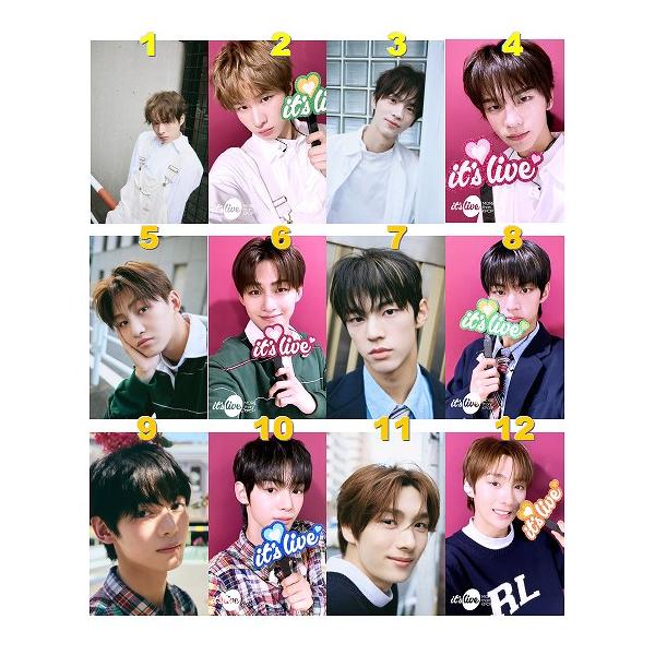 【メール発送OK!!追跡番号付きで安心★】オリジナルデザインのトレカです。※公式グッズではございません。ラミネート加工が施されています。■サイズ　約5.3×8.5cmメール便(追跡番号付き)発送をご希望の方は、ご利用の前に、必ず下記をご確認...