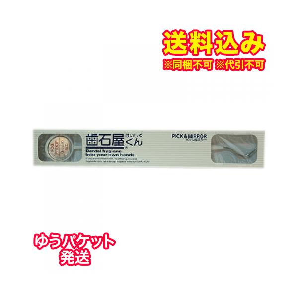 一方がくもり止め加工ミラー。もう一方にピックが付いた、歯の清掃具です。