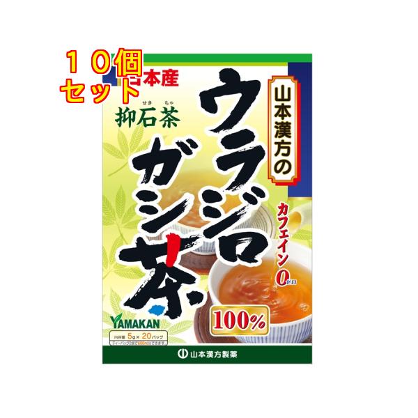 ウラジロガシ100％のティーバッグです。