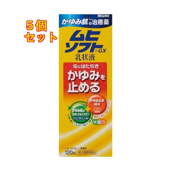 かゆみ・皮ふ炎に効く，「かゆみ肌」の治療薬です