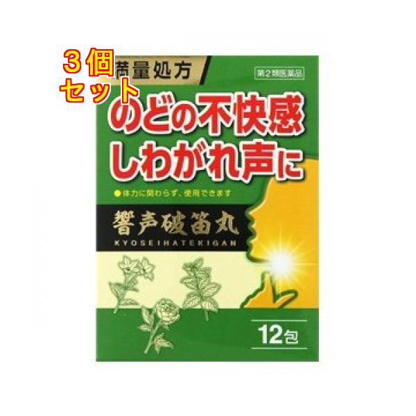 響声破笛丸は声の出し過ぎなどによるしわがれ声やのどの不快感を改善する働きがあります。