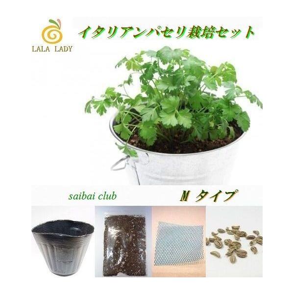 ■メール便送料無料（配送方法で、メール便を選択してください）　■国内トップメーカーの種を使用。農薬は使用されていません。■種、土、ポット、鉢底ネット、栽培説明書がセットされていますので、初心者の方も簡単に栽培できます。■イタリアンパセリは半...