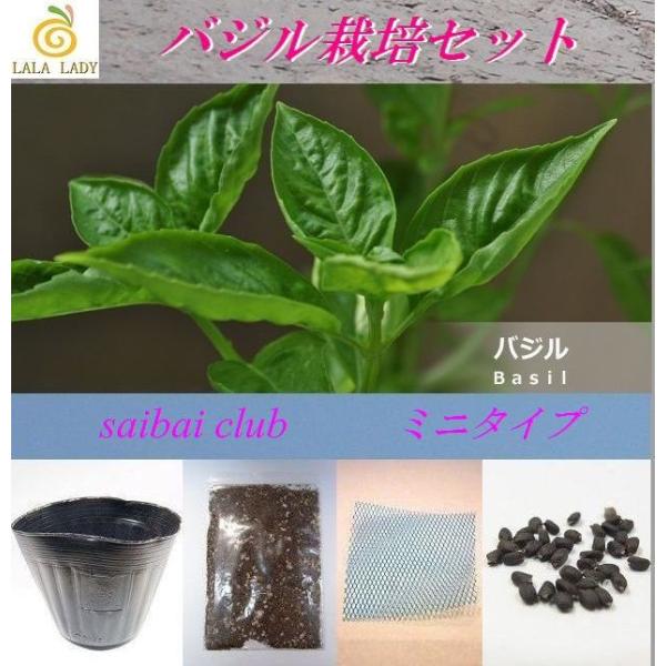 ■メール便送料無料（配送方法で、メール便を選択してください）　■国内トップメーカーの種を使用。農薬は使用されていません。■種、土、ポット、鉢底ネット、栽培説明書がセットされていますので、初心者の方も簡単に栽培できます。バジルは気温15度〜2...