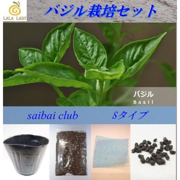 ■メール便送料無料。即日発送。　■国内トップメーカーの種を使用。農薬は使用されていません。■種、土、ポット、鉢底ネット、栽培説明書がセットされていますので、初心者の方も簡単に栽培できます。バジルは気温15度〜20度で発芽をし、晩秋の霜が降り...