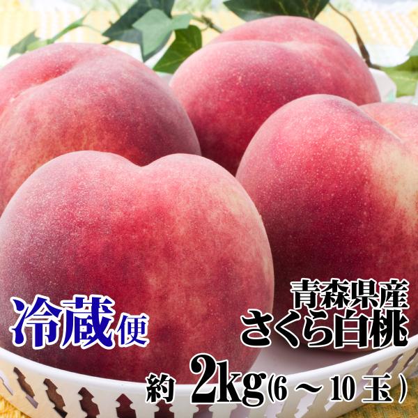 かための歯ごたえと甘みを兼ね備えた注目品種【さくら白桃】青森県の桃は昼夜の寒暖差が激しいので、果肉がしまり日持ちが良い。長年りんごづくりで培われてきた栽培技術を応用して育てられています。商品内容：青森県産　さくら白桃　約2kg（6〜10玉）...