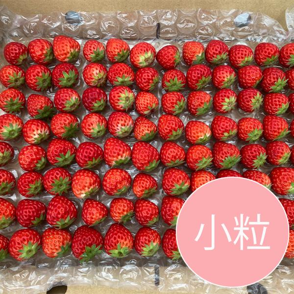 真っ赤できらきらの紅ほっぺを毎朝ひとつひとつ収穫し選別しております。美味しく安全なイチゴを収穫できるよう毎日手間ひまかけて育てました。 小粒いちごばかりバラ詰め商品です。ジャムやコンポートなど加工用に最適です。時期によって、粒の大小のばらつ...