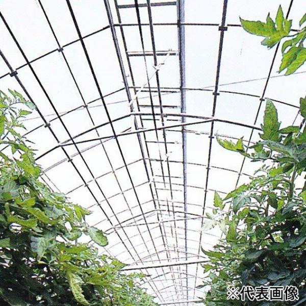 ■仕様・入数:1枚入・サイズ:幅150cm×長さ19m・厚み:0.15mm・梱包形式:紙による梱包・製品重量(g):4000■商品説明・ハウスに必要な性能を、高次元で、長期にわたり発揮。作物づくりに専念できる、耐久無滴農POフィルムです。・...