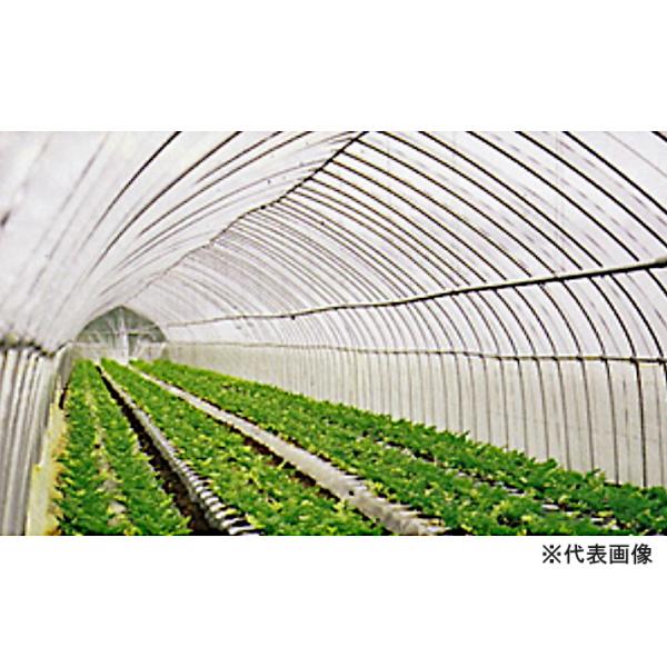 ■仕様・入数:1本・サイズ:幅230cm×長さ100m・厚さ0.1mm・ビニールハウス用■商品説明・キリ/モヤの発生を抑制して、農作物の病気から守ります。・流滴性に優れているため、光をよく通します。・ちりやほこりが付着しにくいため、いつまで...