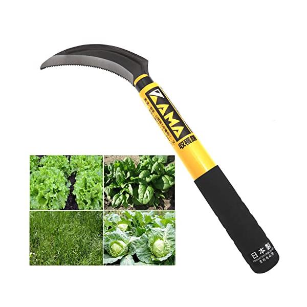 ■システム反映の都合上、ご購入後でも品切れになっている場合があります。その場合、ご登録のメールアドレスに通知致します。必ずご確認をお願いします。■サイズ・カラー等の記載が無い場合や複数記載がある場合があります。ご不明点は、ご購入前にご質問く...