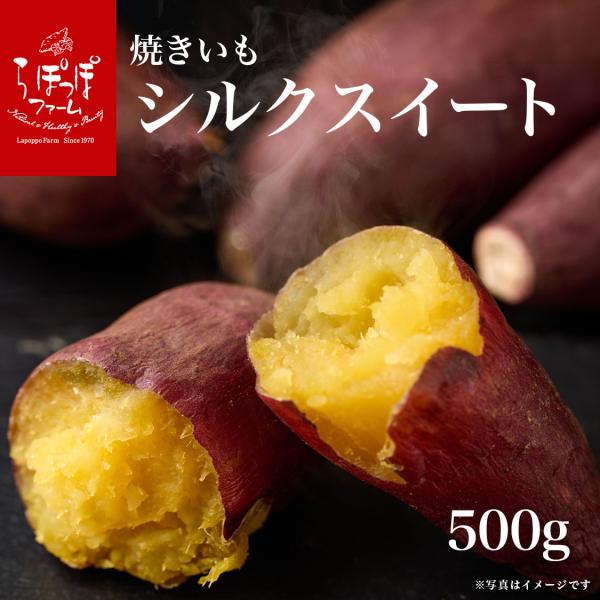 【絹のようになめらか、しっとり甘い「シルクスイート」】 シルクスイートはなめらかな口あたりと、しっとりした肉質が魅力のさつまいもです。ーーーーーーーーーーーーーーーーー原材料さつまいも（国産）ーーーーーーーーーーーーーーーーー内容量 シルク...